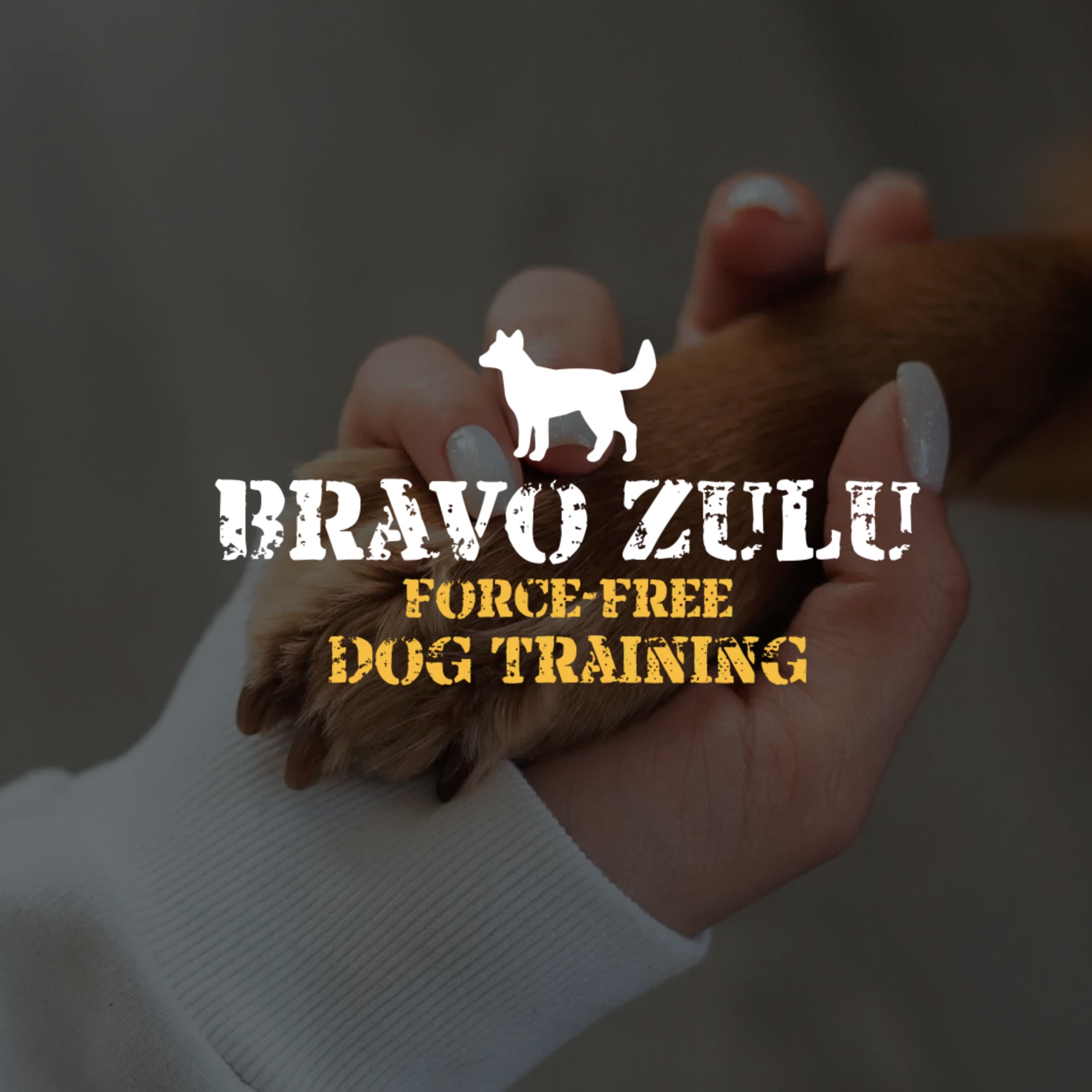 Bravo Zulu Dog Training - Bravo Zulu Dog Training